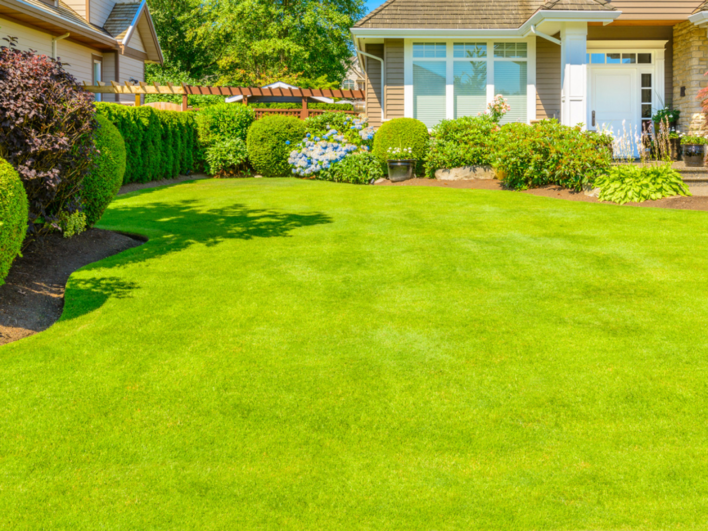 Organic Lawn Care, Soil Testing & Organic Lawn Seeding | Sioux Falls ... Organic Lawn Care, Soil Testing & Organic Lawn Seeding | Sioux Falls ...
